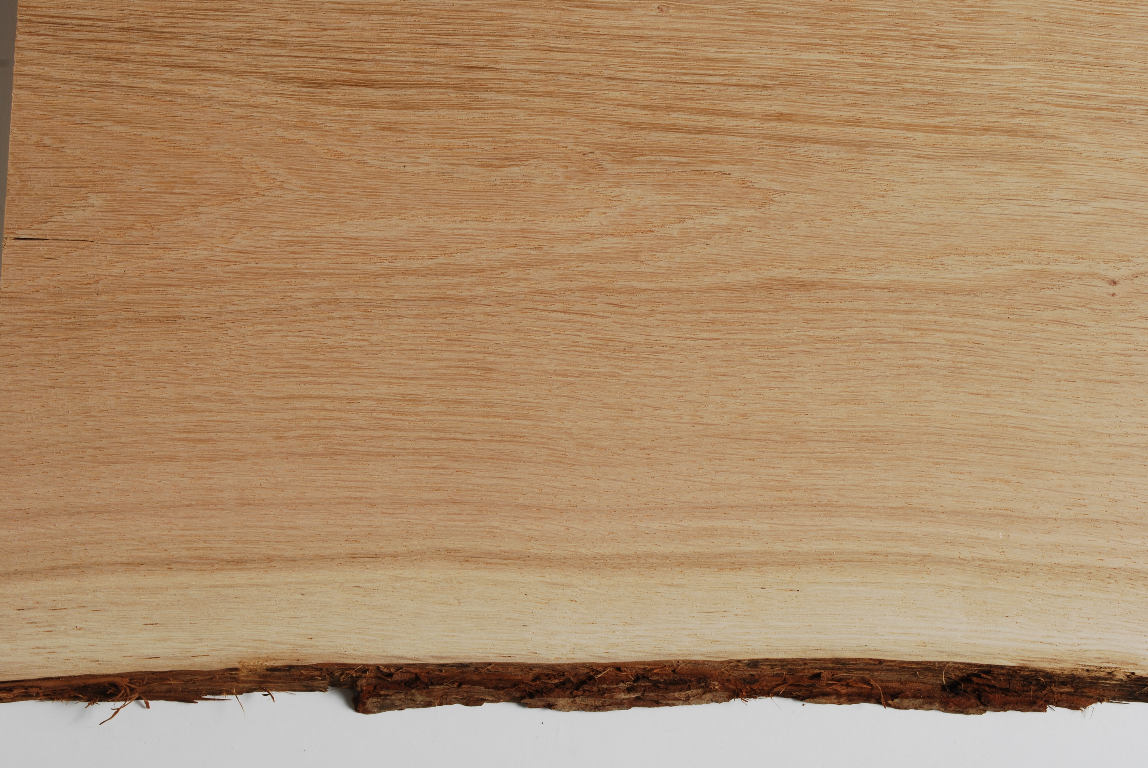 Deboisec : Chêne en planche de plot